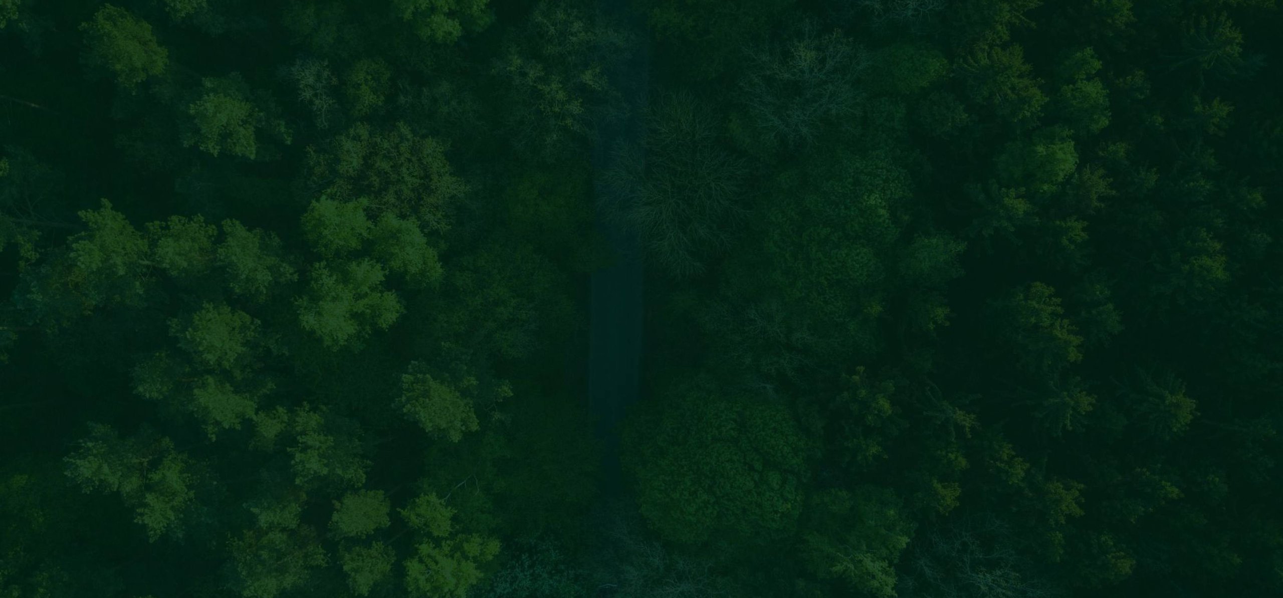 Betolar | Material technology innovations for mining and construction